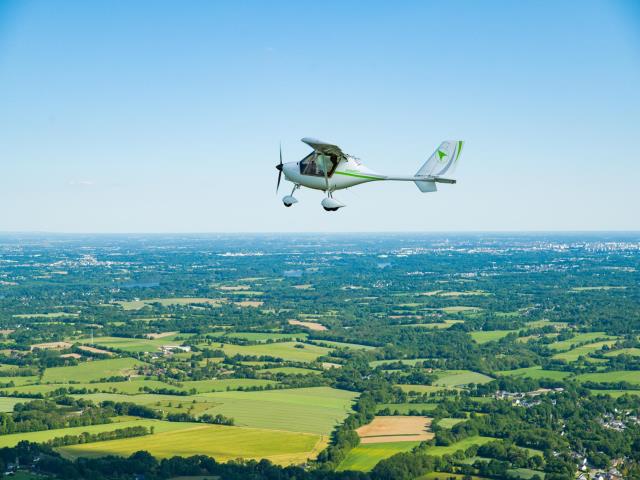 ulm occasion - Storch