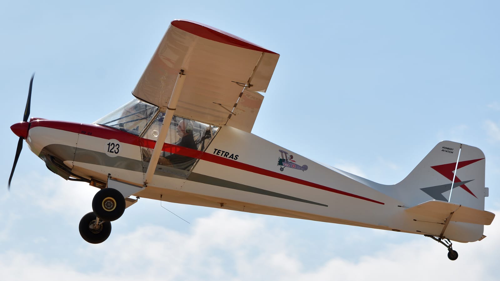 ulm occasion - TETRAS